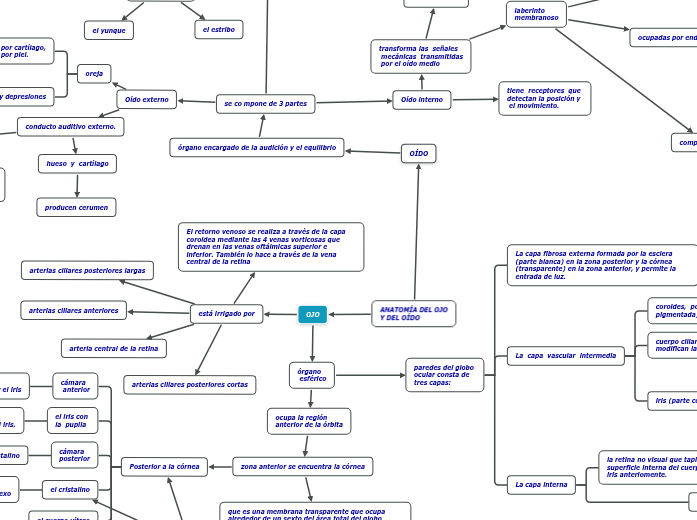 ANATOMÍA DEL OJO Y DEL OÍDO - Mind Map